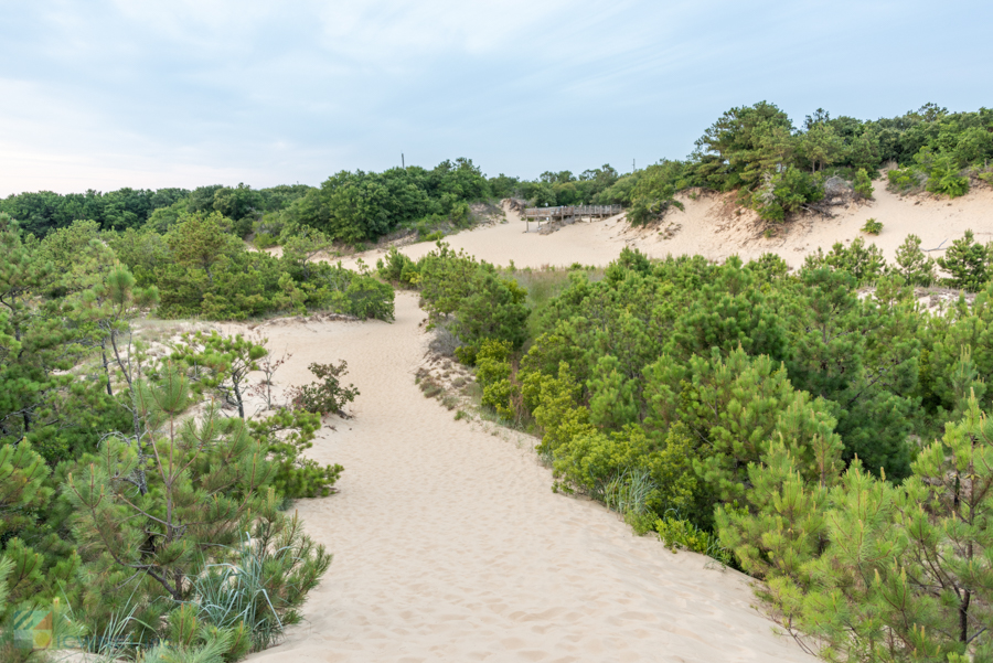 Jockey's Ridge State Park - OuterBanks.com