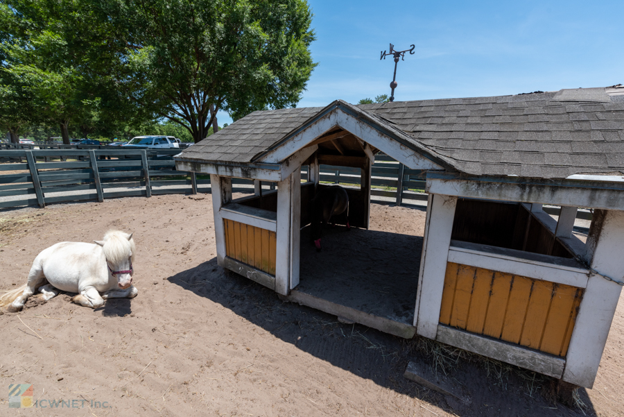 Lawton Stables - OuterBanks.com