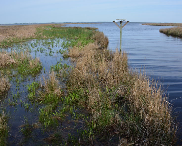 Currituck Sound - OuterBanks.com