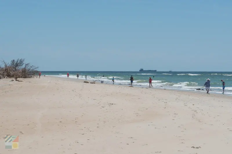 Shackleford Banks - OuterBanks.com